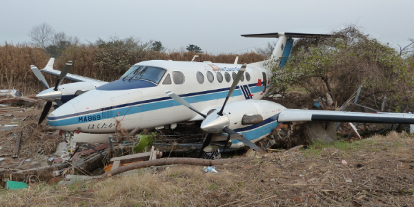 Los niños permanecen en la selva durante 40 días - nivel 3 - Spanish in ...
