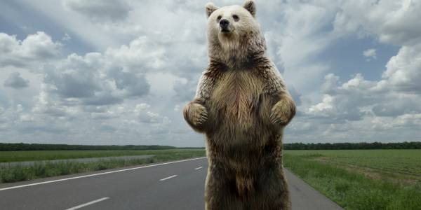 El oso camina como un humano - nivel 1 - Spanish in Levels