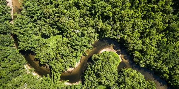 Gente de una selva tropical - nivel 3 - Spanish in Levels